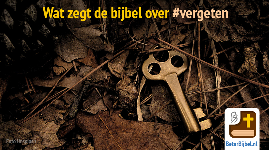 Antwoorden - Wat zegt de Bijbel